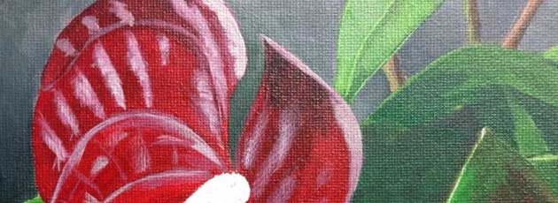 Day 28 Red Anthurium Flowers - Jaime Haney Art | Colorful Original ...